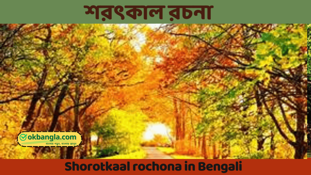 শরৎকাল রচনা, Shorotkaal rochona in Bangla