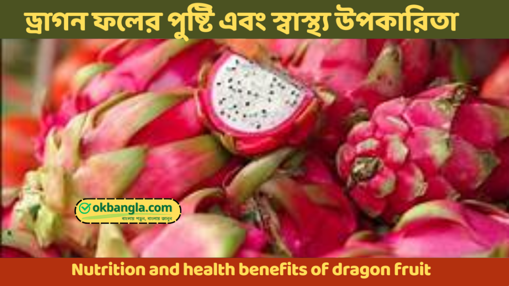 ড্রাগন ফল খাওয়া ভালো কেন, Dragon Fruit Health Benefits in bangla