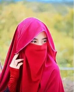 595+ মেয়েদের বোরকা পড়া প্রোফাইল পিক | বোরকা পরা পিকচার