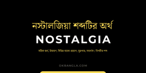 Nostalgia/নস্টালজিয়া মানে কি? Meaning of Nostalgia in Bengali