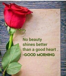 453+সকালের ছবি ডাউনলোড, Good Morning pictures HD